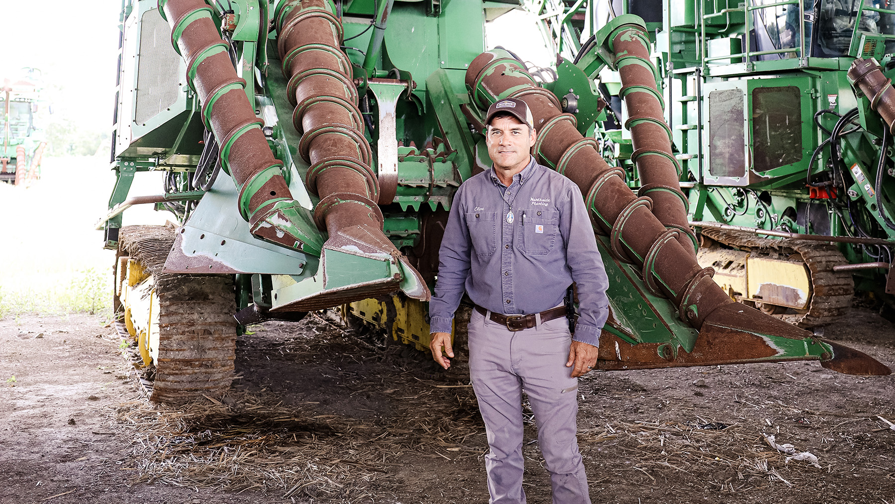 Latest Live Cattle Prices | Farm Progress