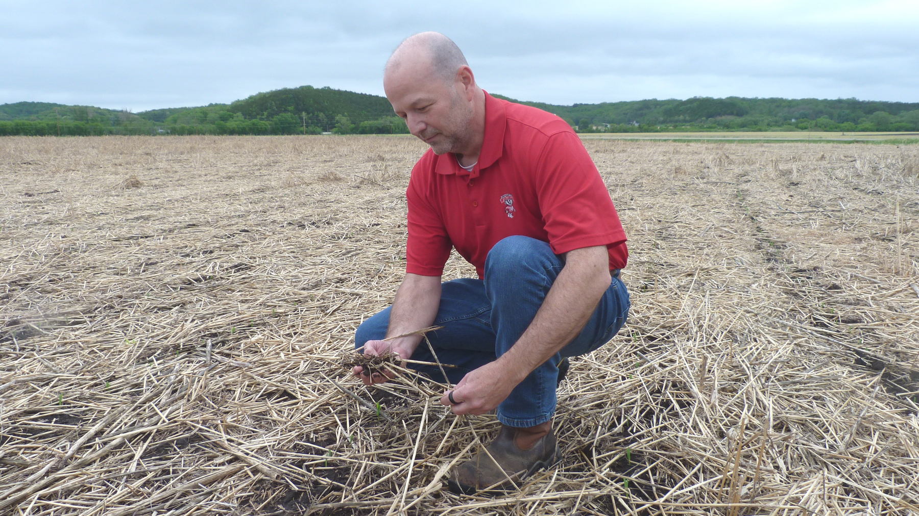 New tech listens to insects feeding on crop roots