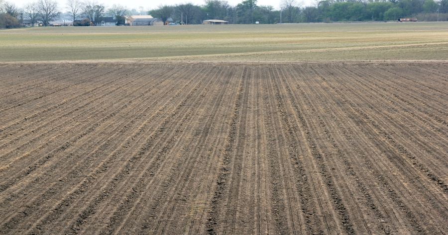 Cropland leases: what producers need to know