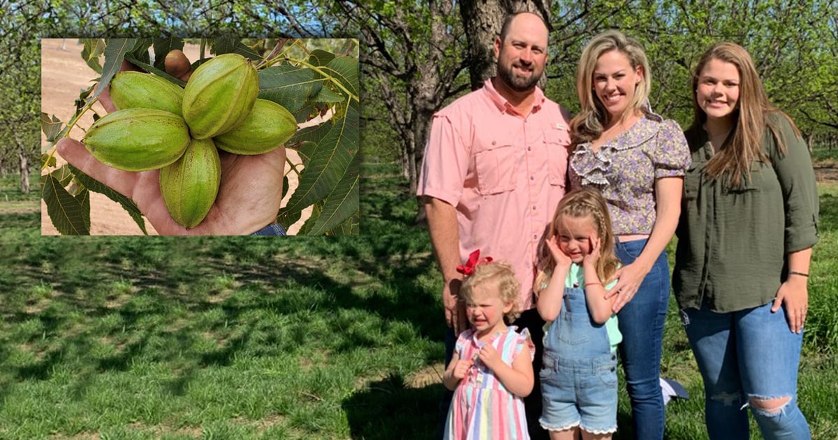 Drought forces sustainable changse for pecan producer