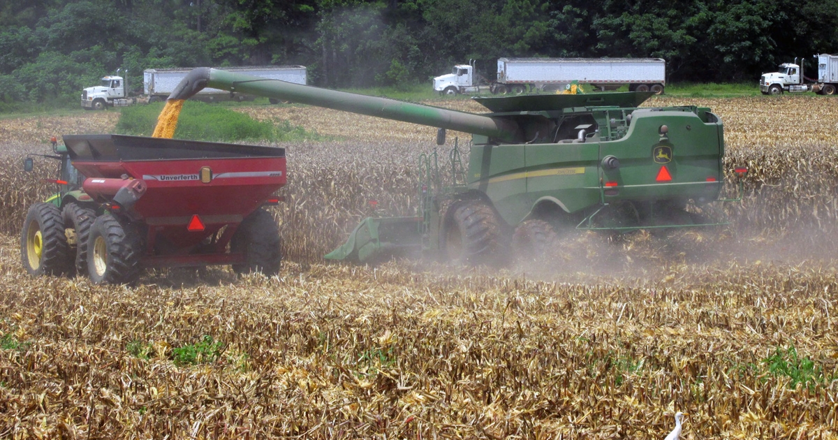 The ‘real’ corn futures price