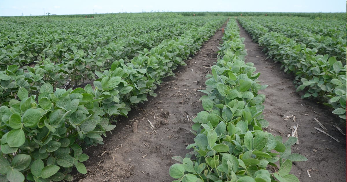 Communication key to crop coexistence