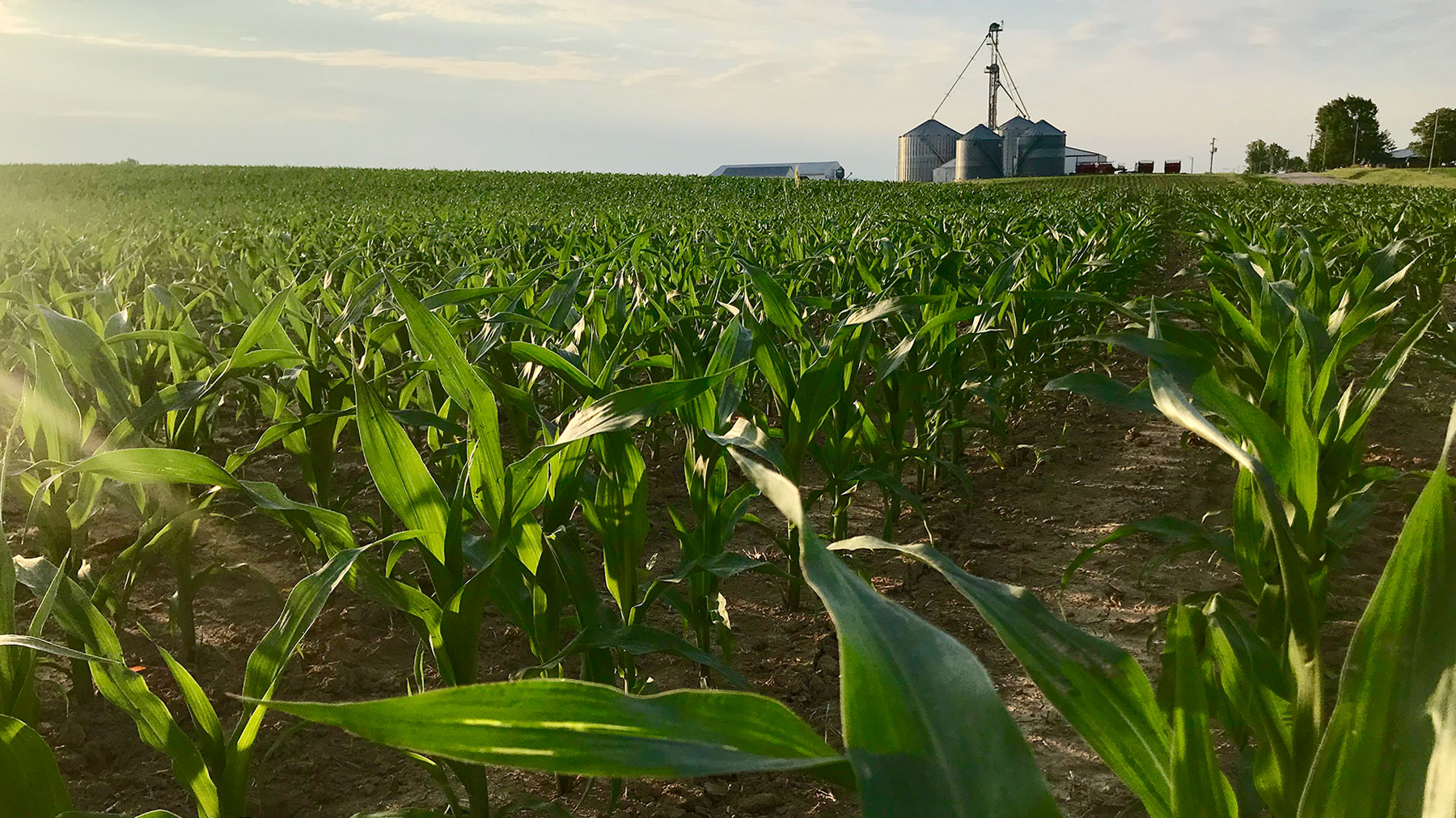 Who owns the most farmland in Illinois?