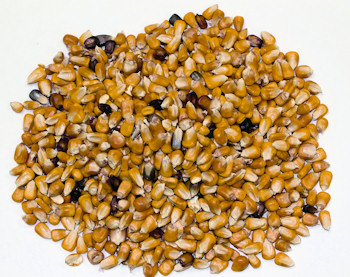 Enogen corn is moving into more ethanol plants