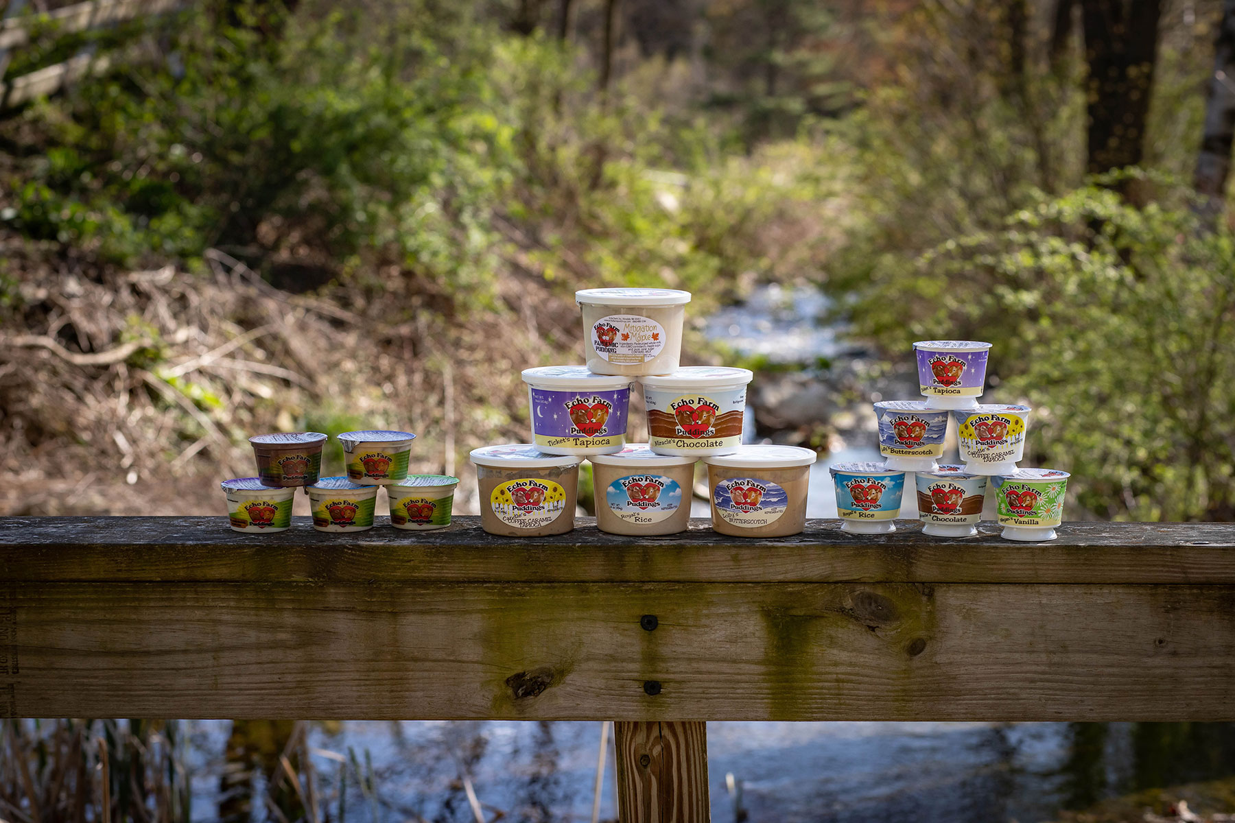 Echo Farm sisters build pudding business from 4-H