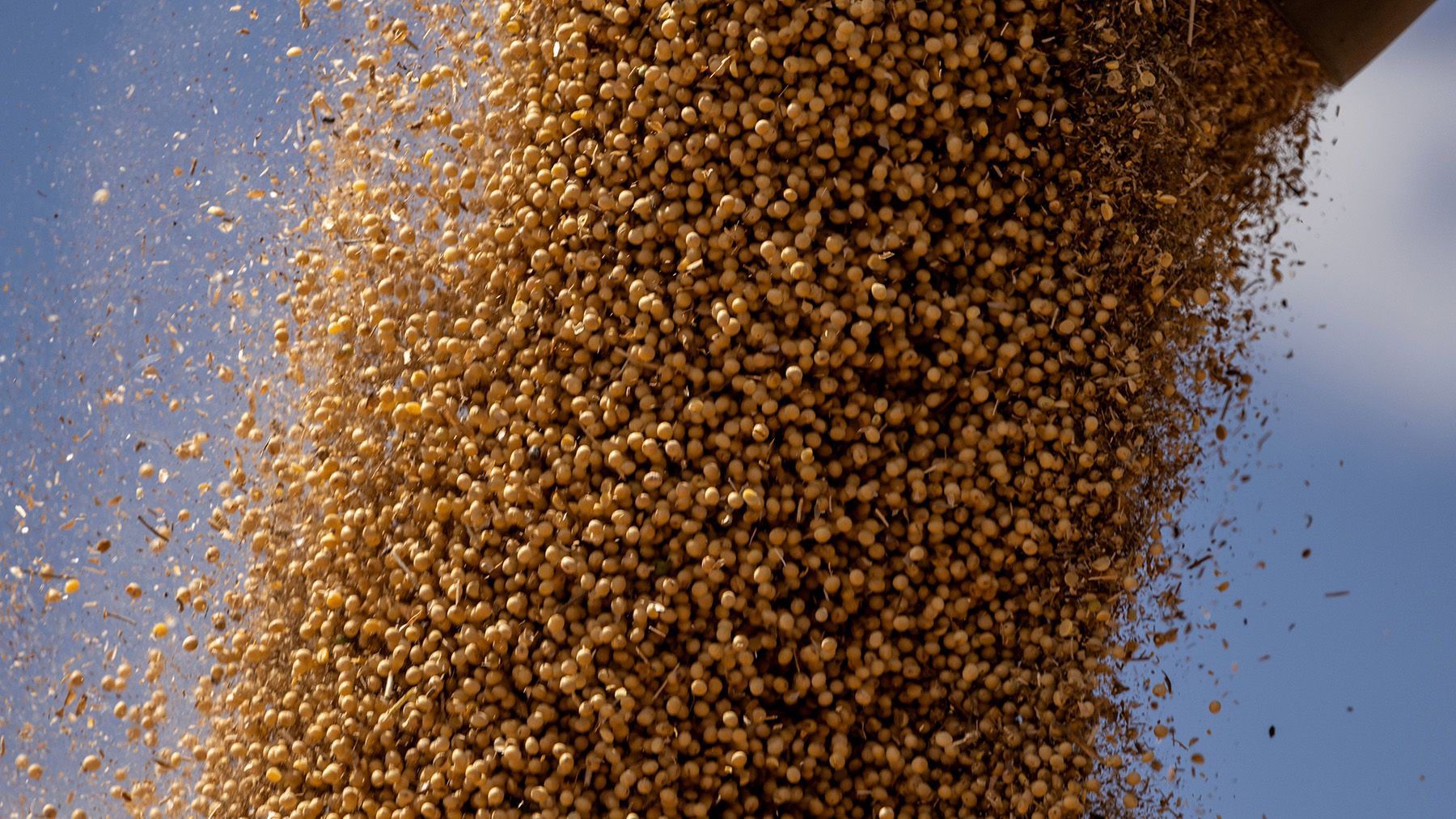 China buys Brazilian beans after U.S. soy pledge