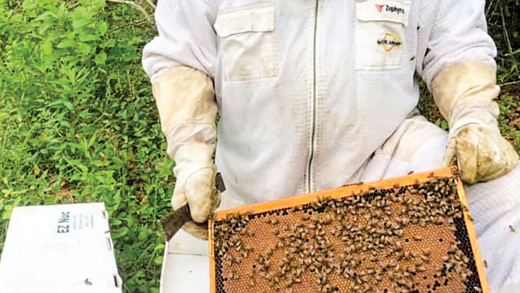 Ask the beekeeper: Past tailspins and industry outlook