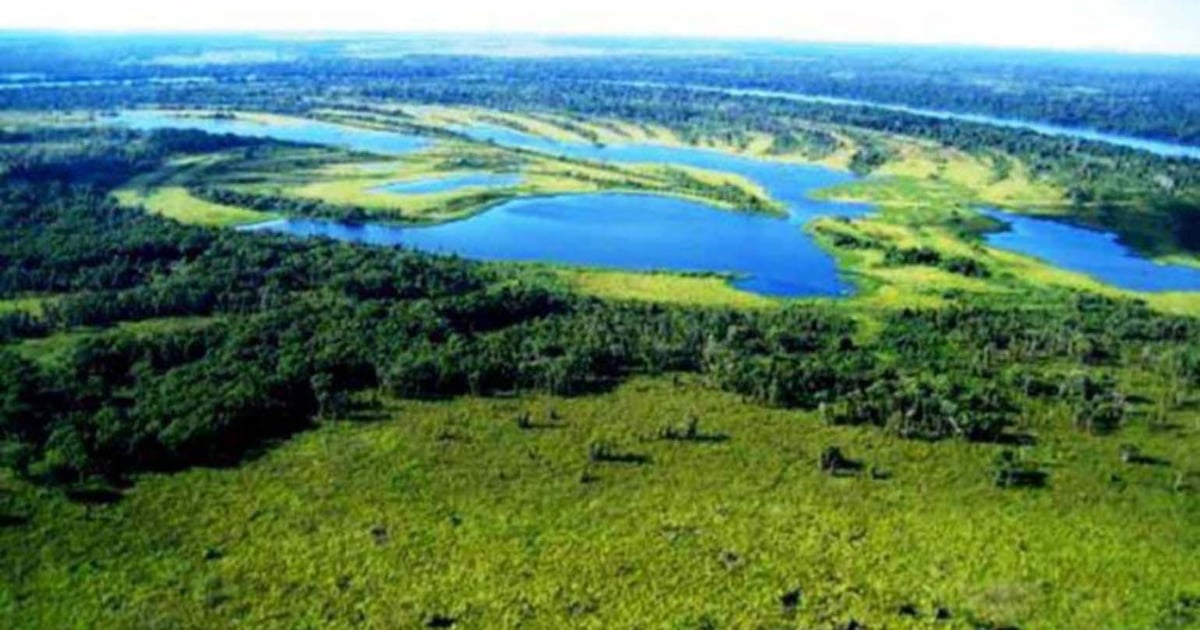 Ever heard of Brazil’s Pantanal Swamp? You will