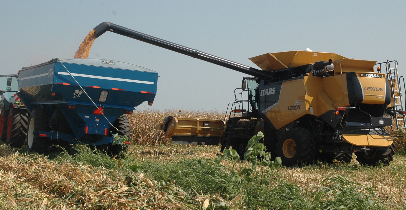 Sales reflect crop yields this fall
