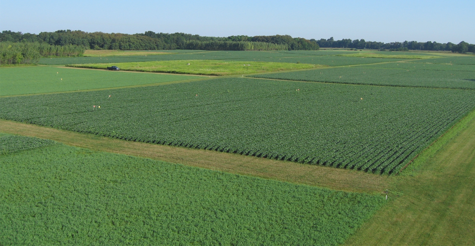 Size matters when it comes to research plots
