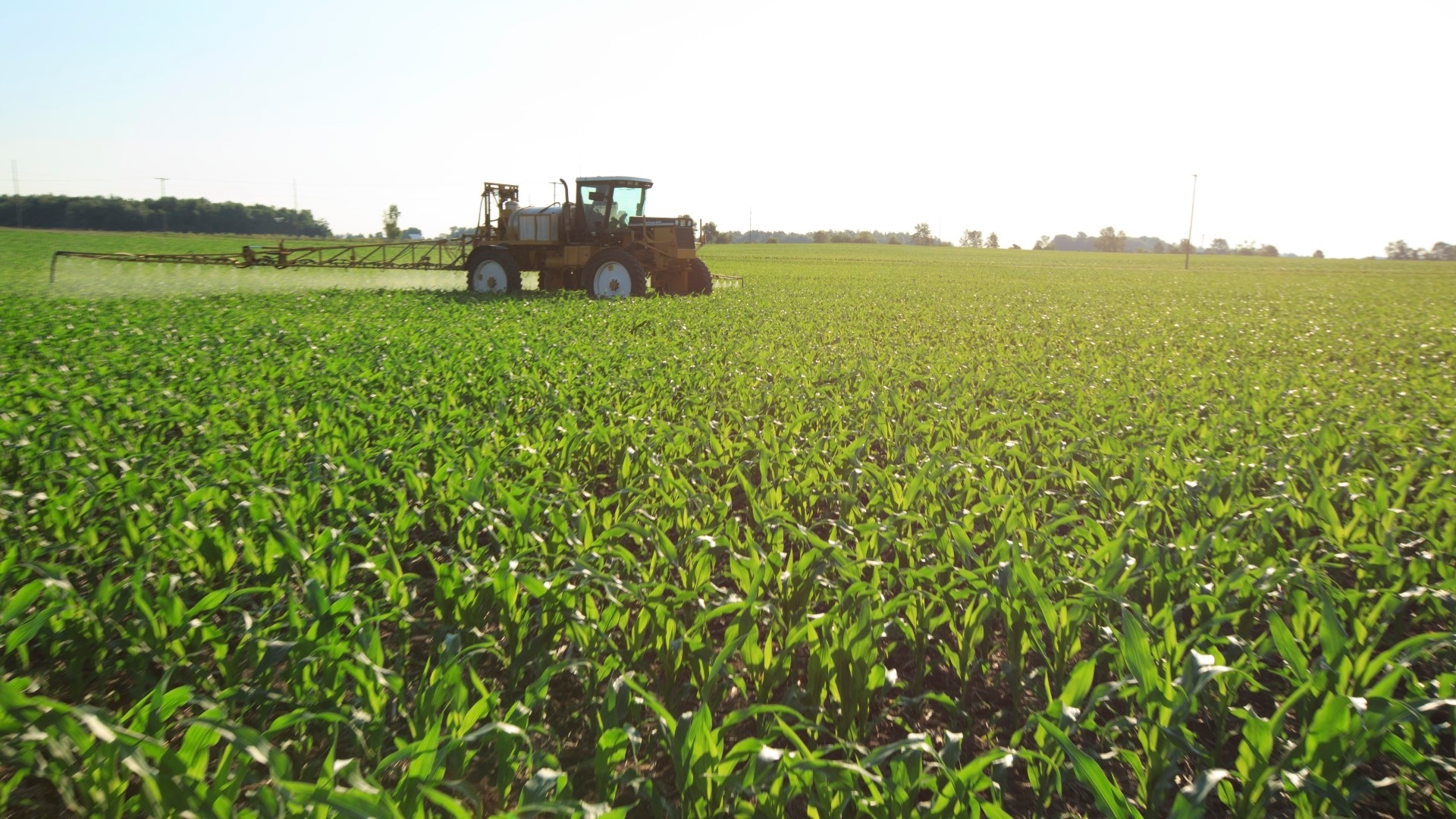 Commodities | Farm Progress