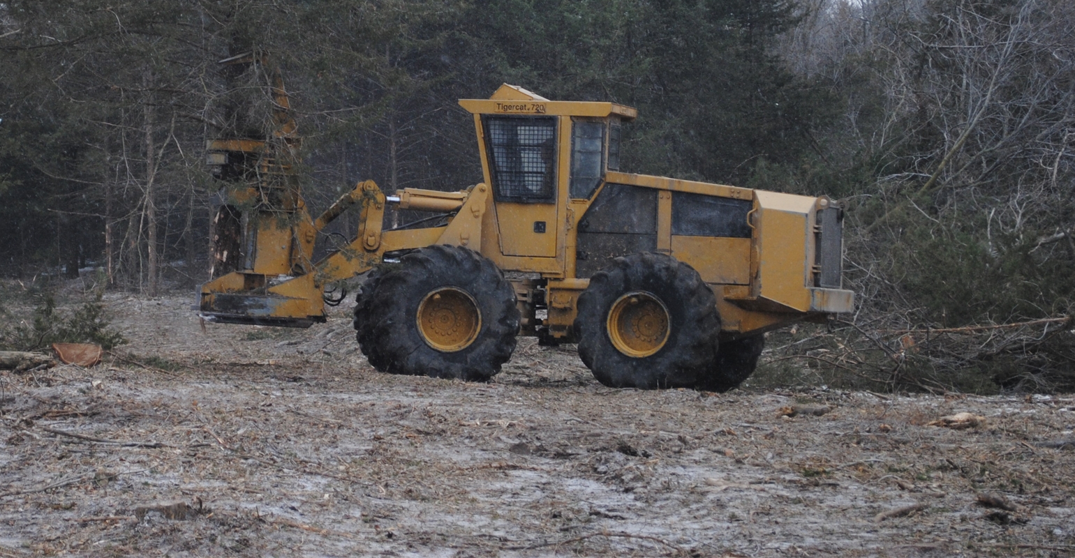 Winning war on invasive cedar trees