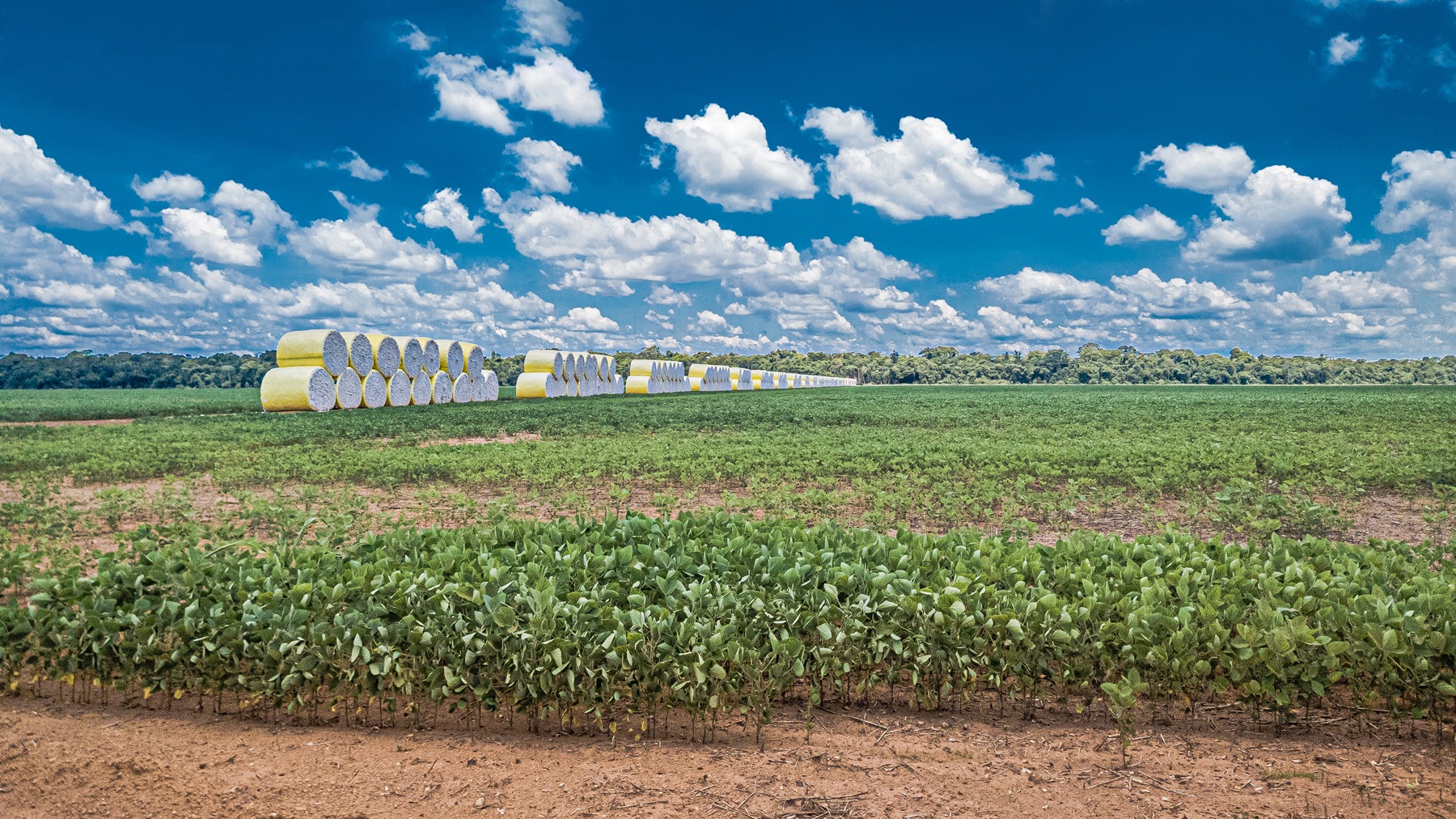 Snapshots from 2025’s Farm Progress Show