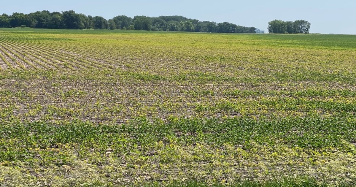 Symptoms and Factors of IDC