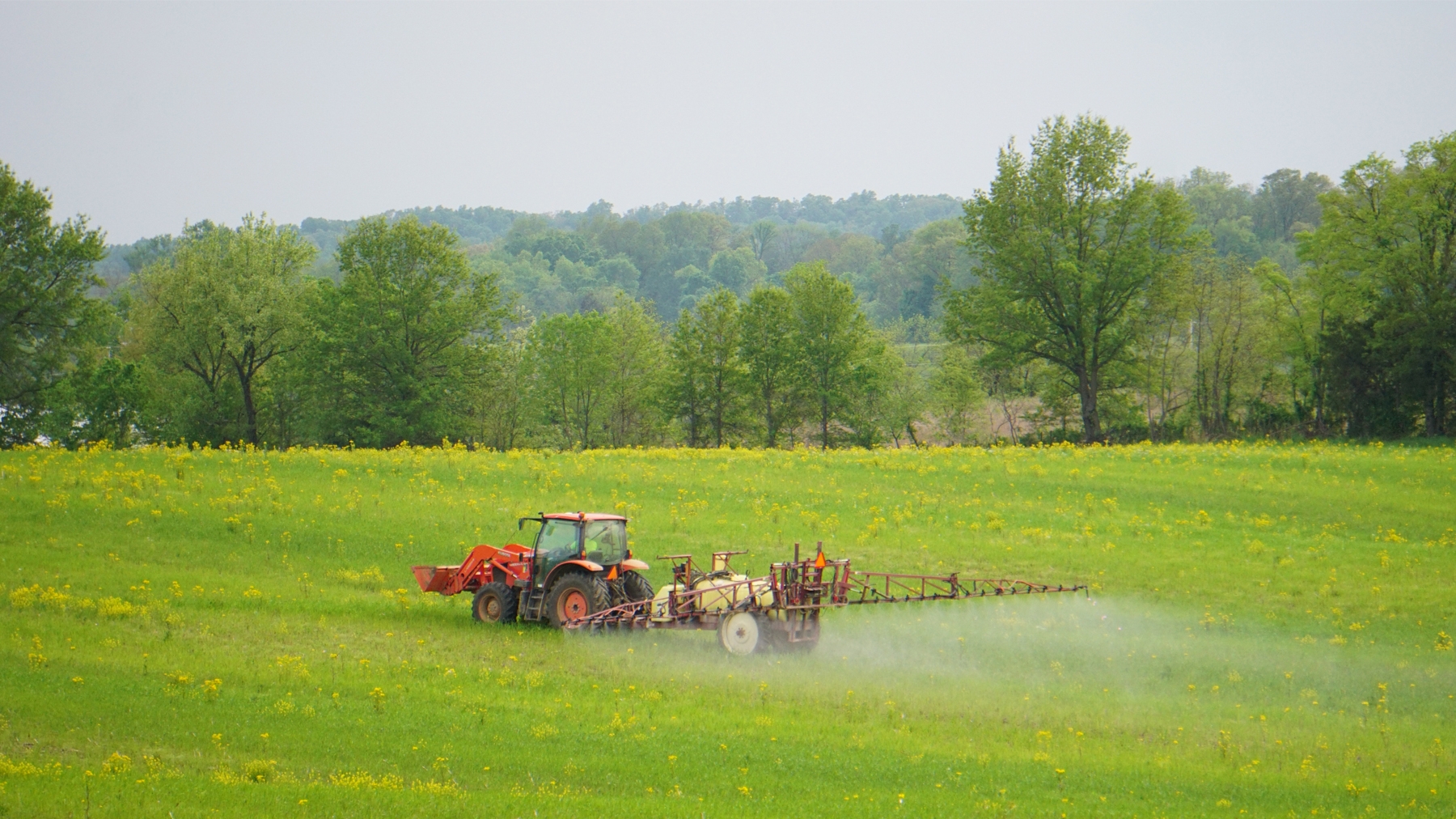 Time to kill pasture weeds, boost forage production