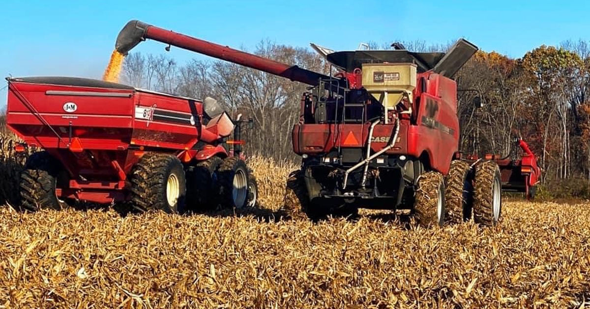 Seeding behind combine gets cover crops off to good start