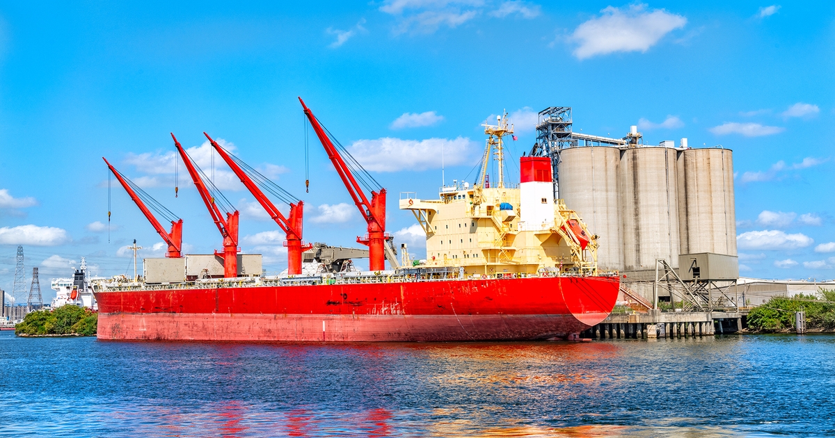 USDA export report: Corn leads, soybeans lag, wheat sees new crop sales