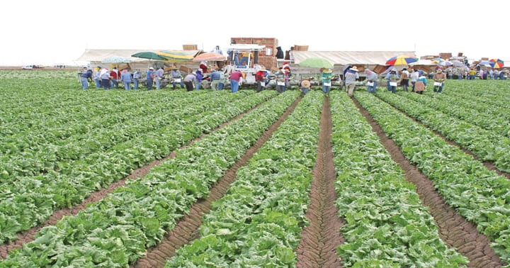 Forces affecting change in crop production agriculture | Farm Progress