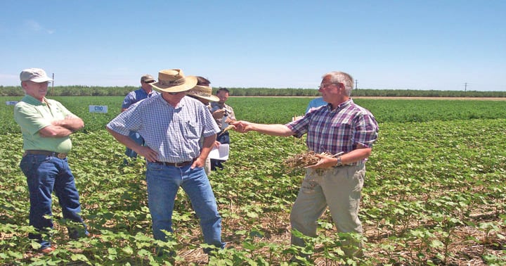 Weed issues continue to challenge California no-till farming | Farm ...