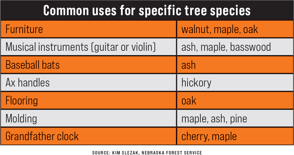 How to market trees from woodlot