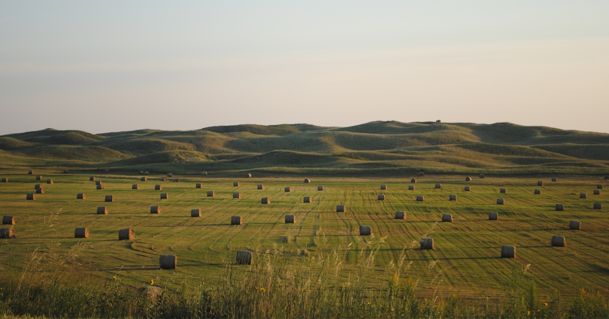 Harvest prairie hay early for best quality