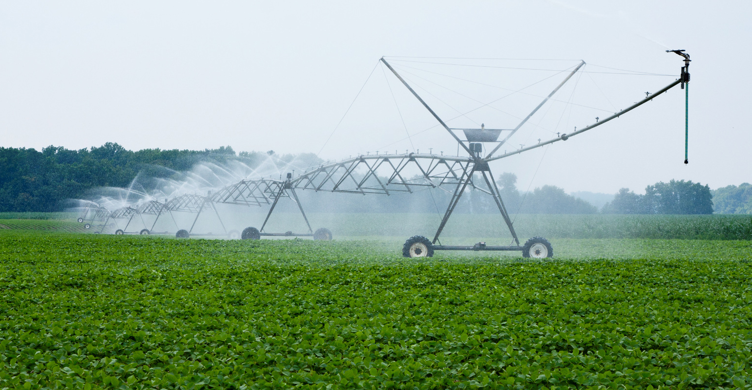 Soybean contest winner produces state record yield