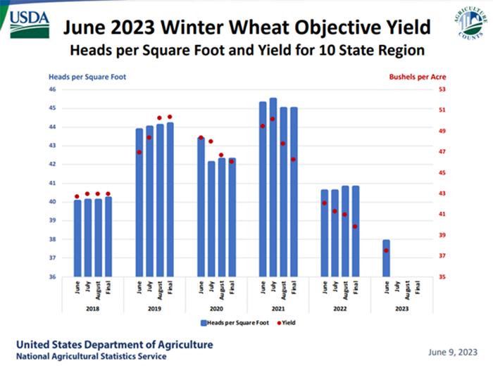 Wheat’s yield woes