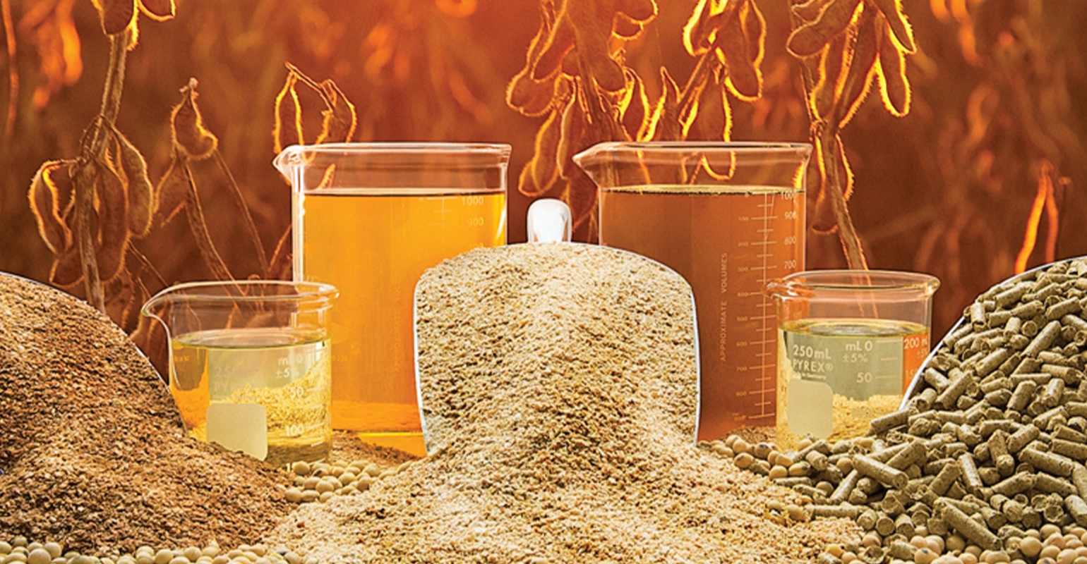 Ag Processing Inc’s new South Dakota plant opens soon