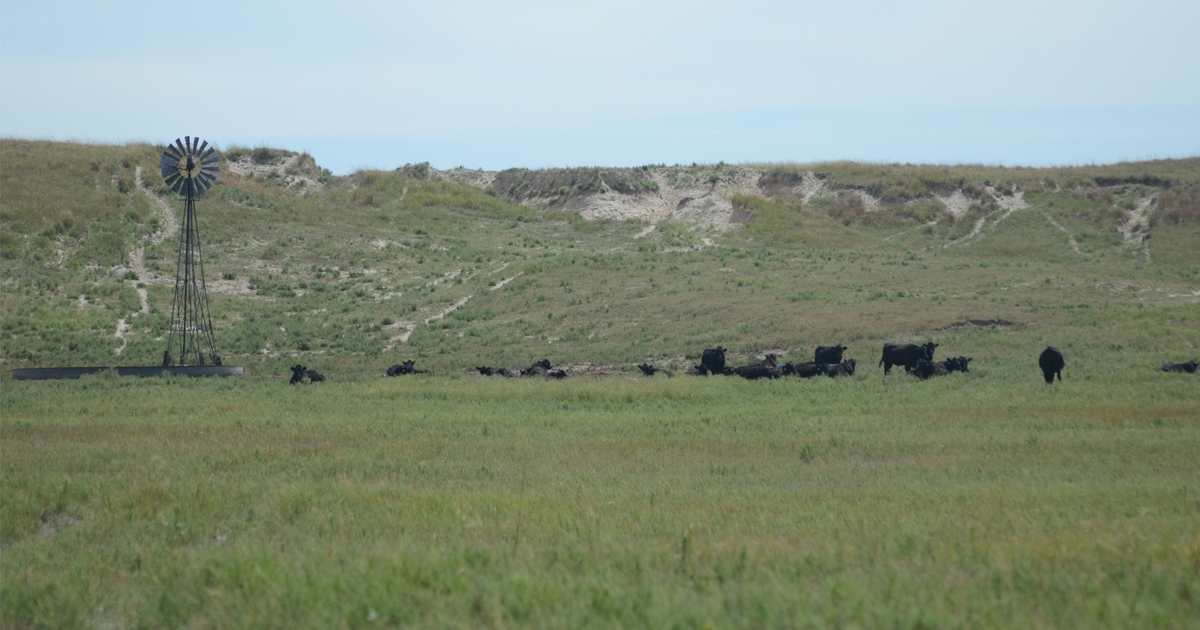 Learn how to transition farm, ranch