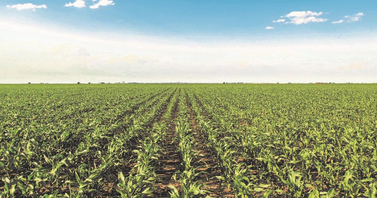 Farm retirement planning: Expert advice on selling assets and next steps