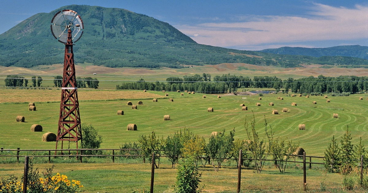 New Colorado hay directory available
