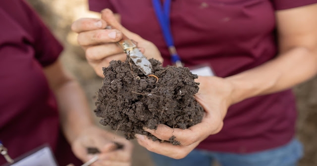 5 tips for soil health test sampling