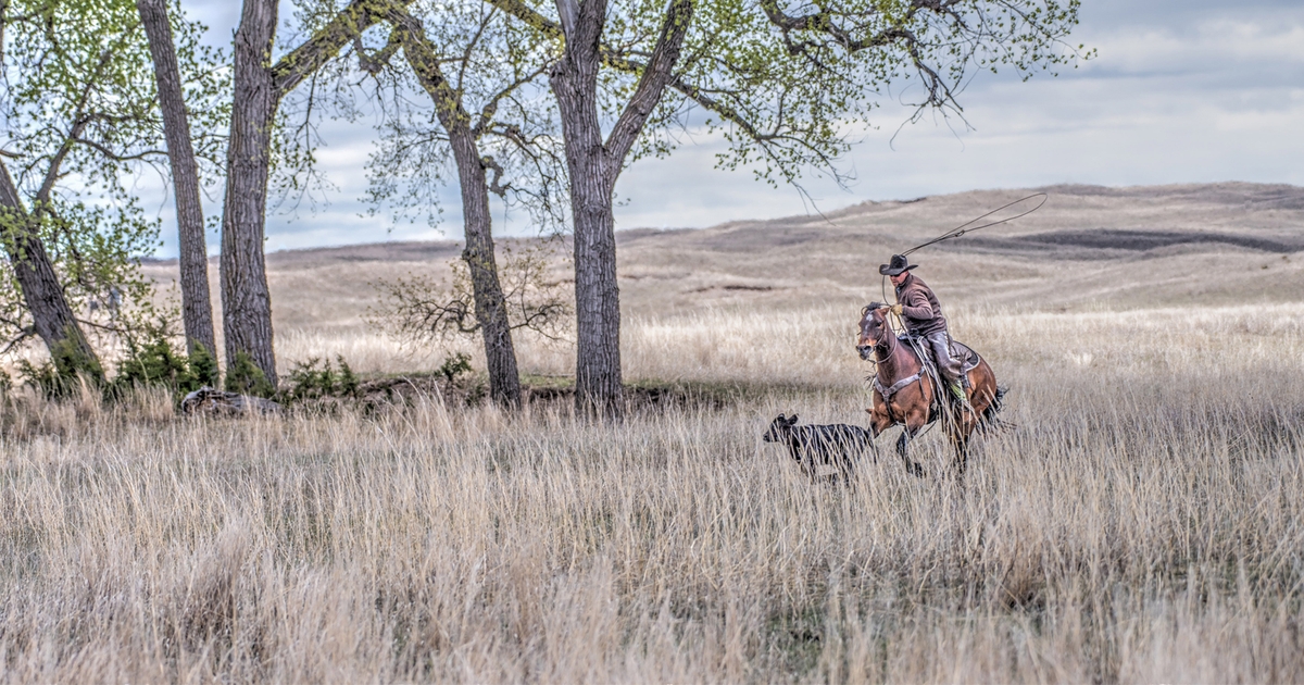 Sandhills ranch photo wins 'This is Nebraska' category