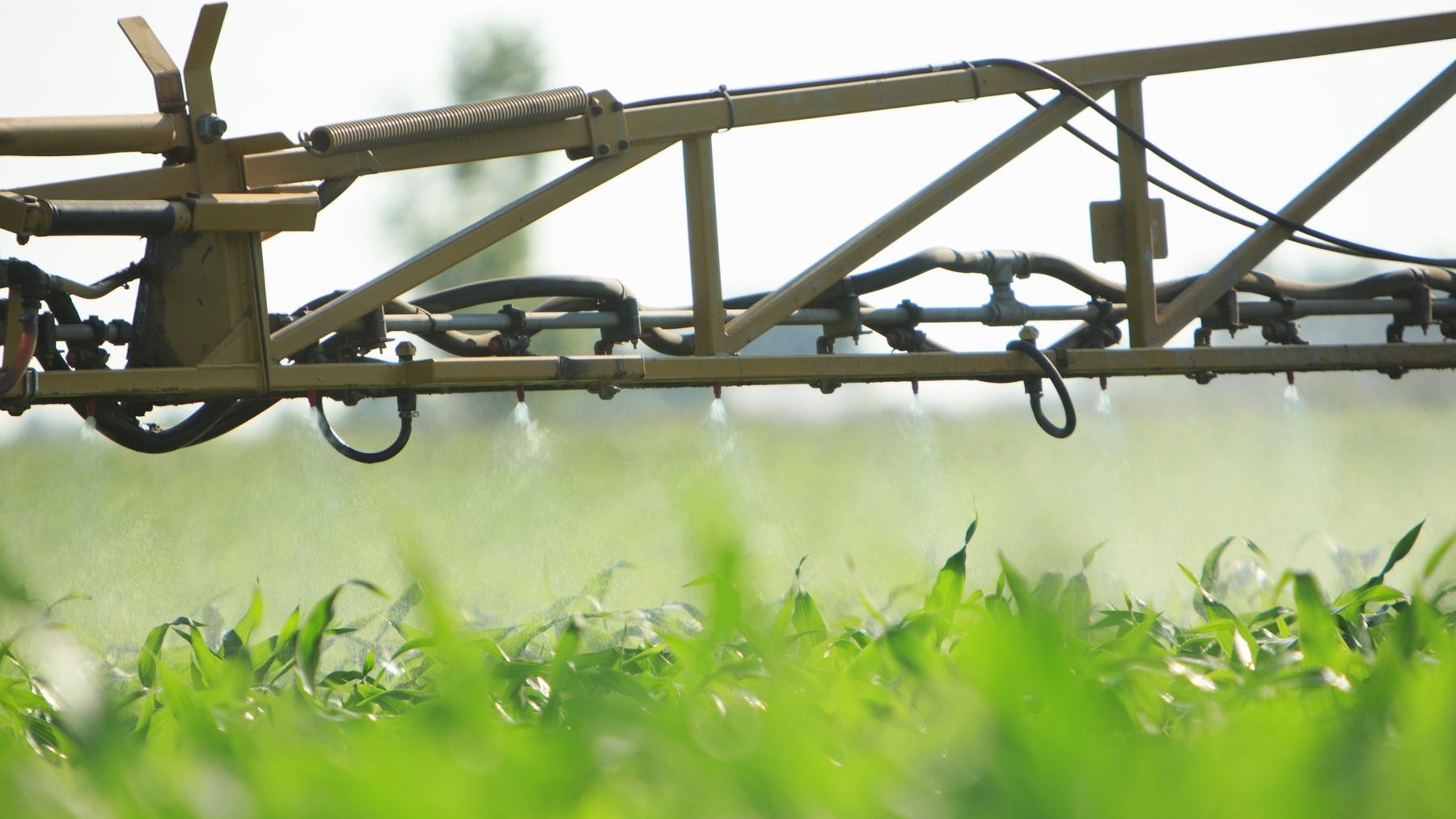 How water impacts herbicide performance