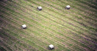 More forage types covered by crop insurance