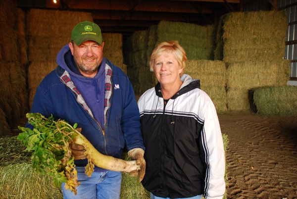 Add Alfalfa to Corn, Soybean Rotation to Improve Soil Health