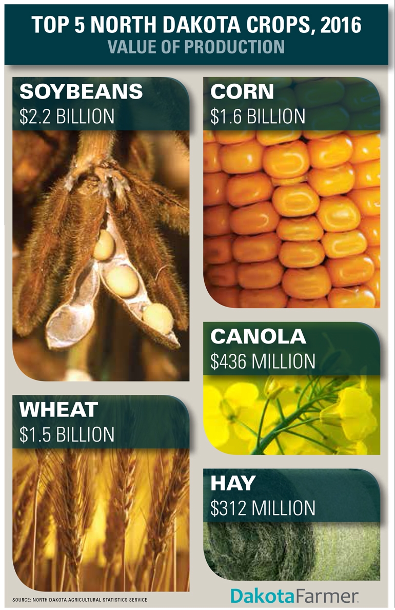 North Dakota’s top crops