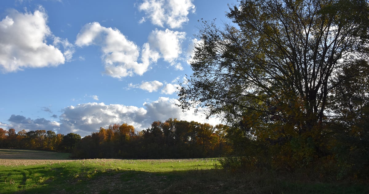 USDA launches regenerative-agriculture pilot program