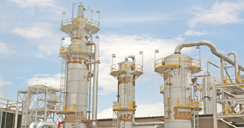 Developing better plants for bioenergy | Farm Progress