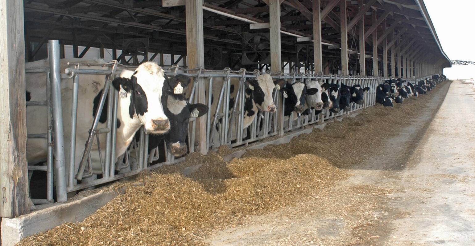 National Mastitis Council to meet Jan. 31-Feb. 2
