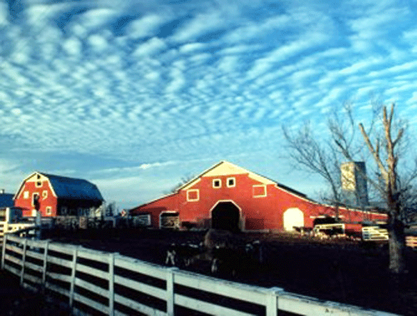 Capital gains tax precludes farmers from passing the torch | Farm Progress