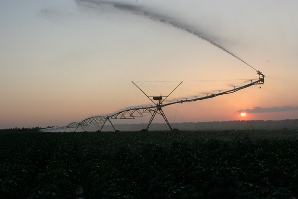 Delta irrigation well metering still short of goal