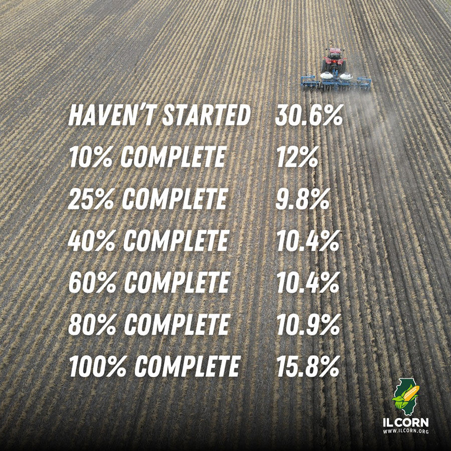 Expect uniform corn emergence in 2024