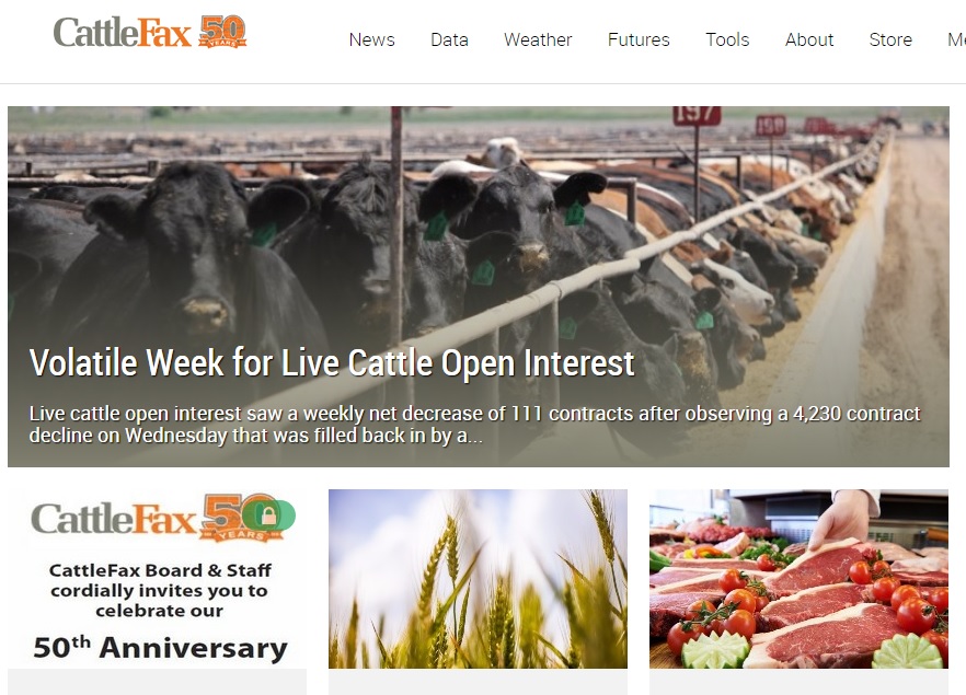 CattleFax wants you in its cow-calf survey