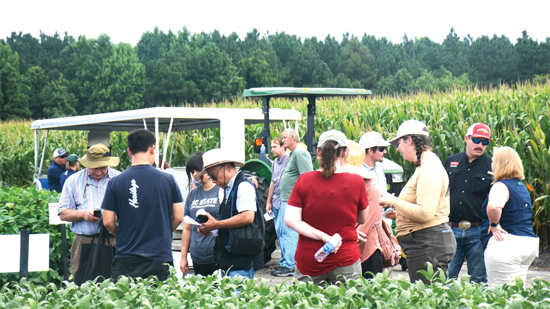 Soybean defoliation threshold raised for pest management