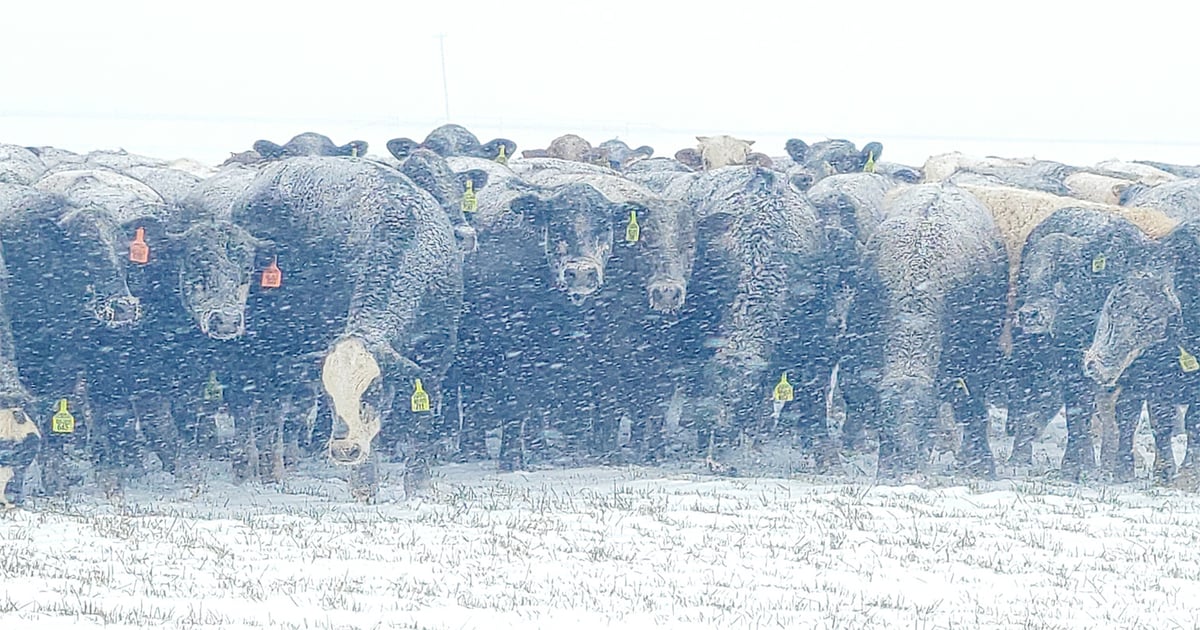 Exploring the aftermath of a weather disaster