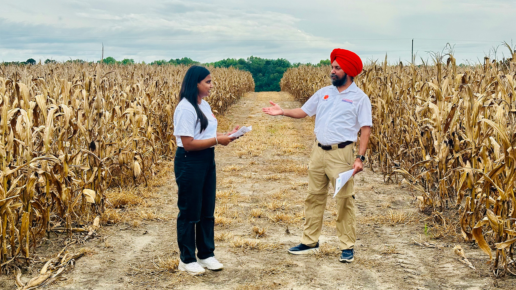 Finding optimal rates for chicken litter and yields