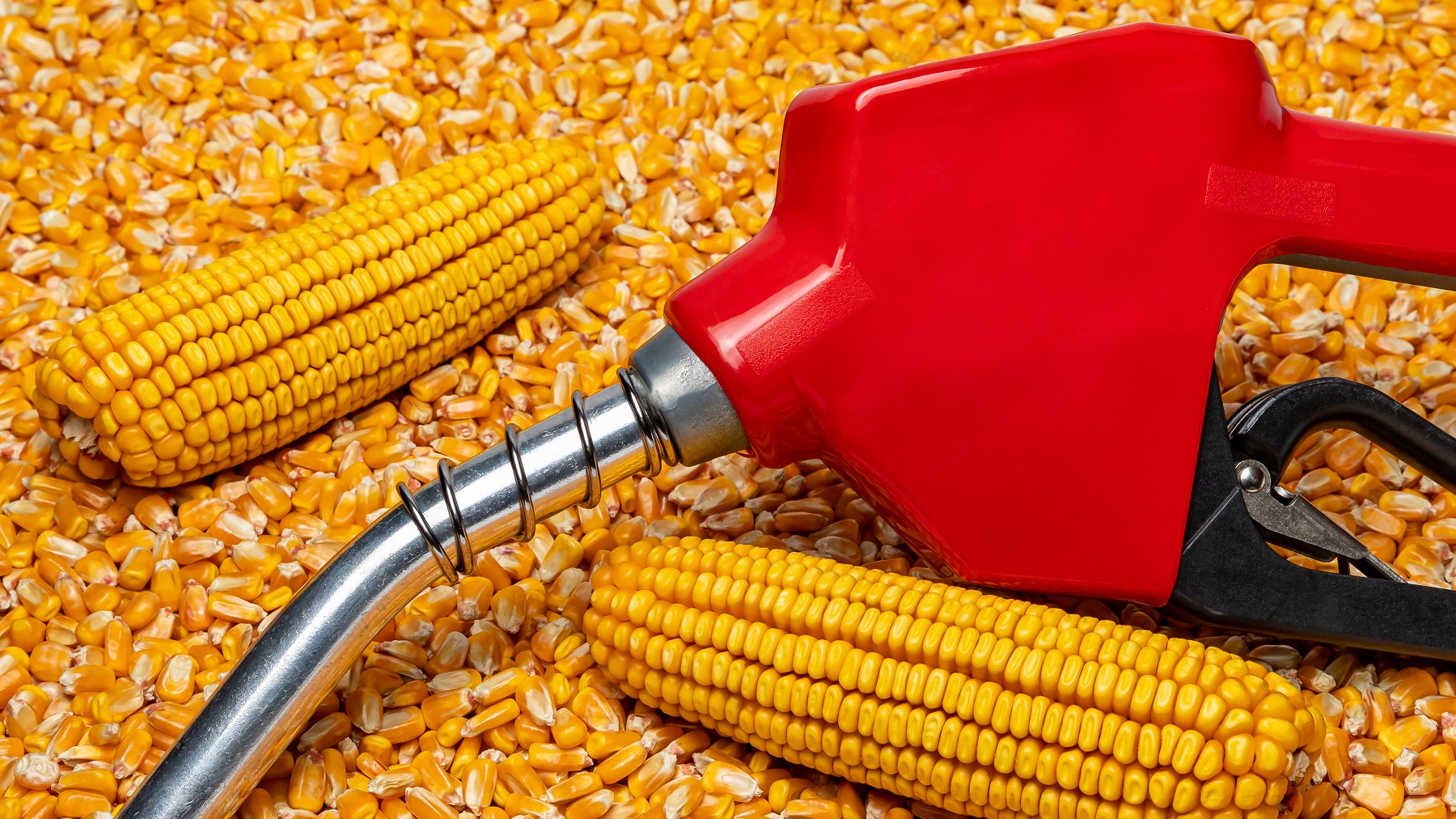 Farm Progress America, January 21, 2026