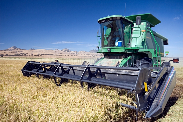 Provisia rice set to make jump in Mid-South acres