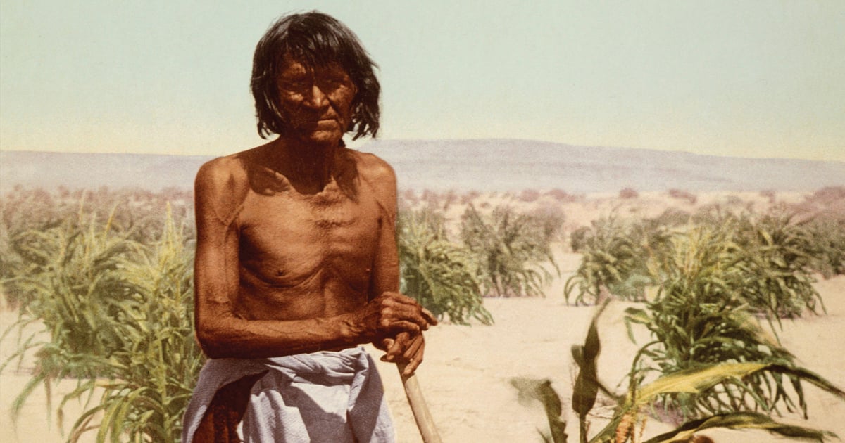 How Native Americans shaped modern corn production